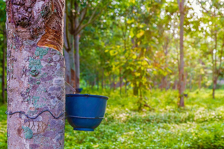 How Is Rubber Made | How Rubber Is Harvested | J-Flex
